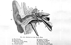 William James and the sixth sense