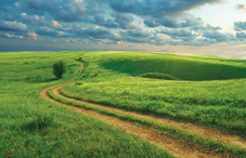 Are you on the right path?