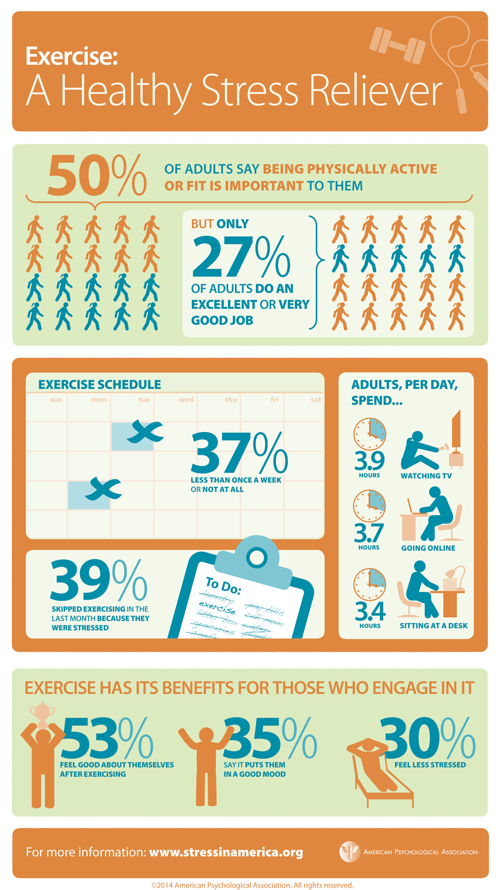 Stress in America Survey Infographics: 2013