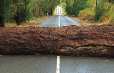 How to stay on track when you hit a roadblock