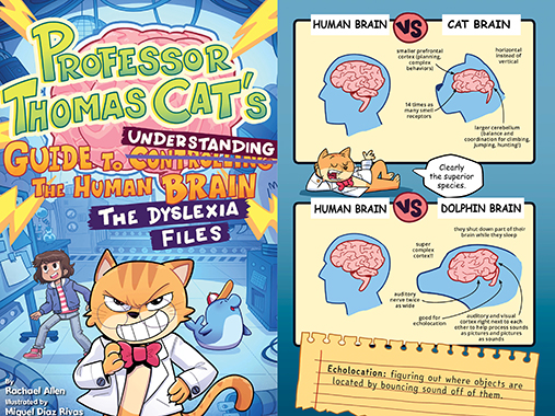 Professor Thomas Cat's Guide to Understanding the Human Brain