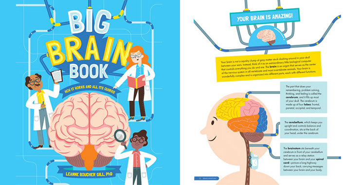 Big Brain Book