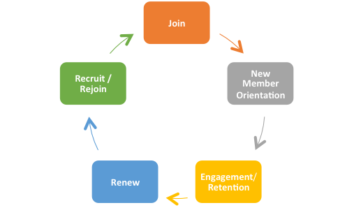 Membership matters: The membership cycle