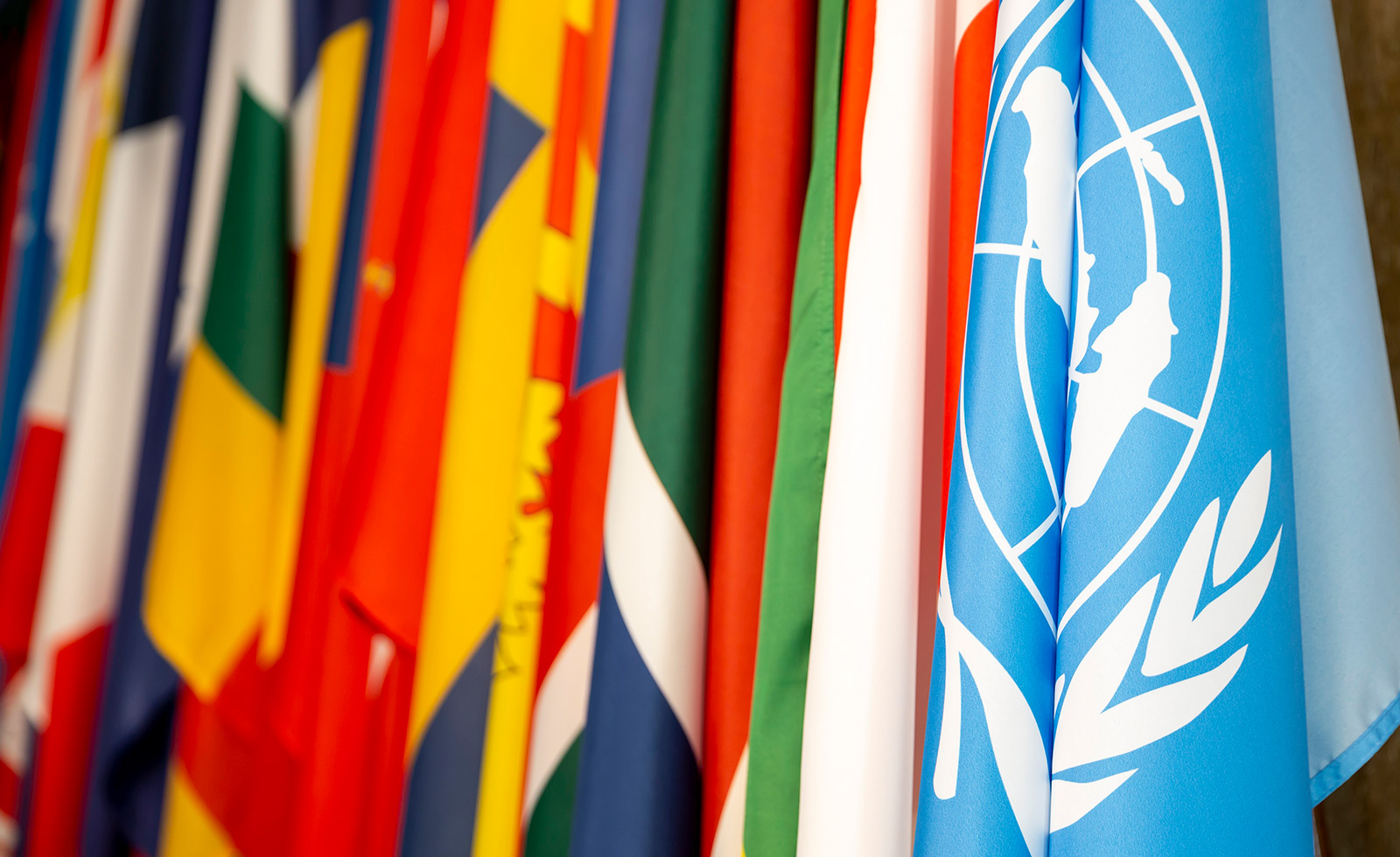 APA activities at the UN