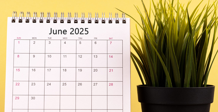 APA community updates for June