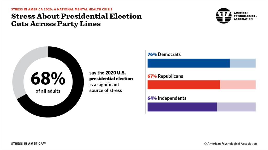 2020 Stress in America Graphs: English Data Charts