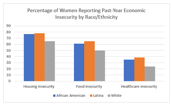What Is the Role of Economic Insecurity in Health? The Unequal Burden ...