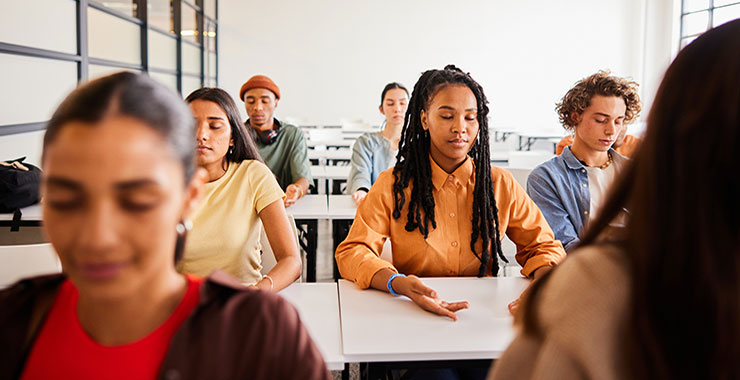 High School Lesson 2: The body