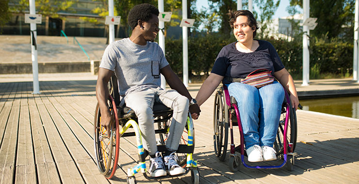 Disability and Neurodiversity: Mental and Physical Health Pillar