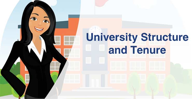 University structure and tenure