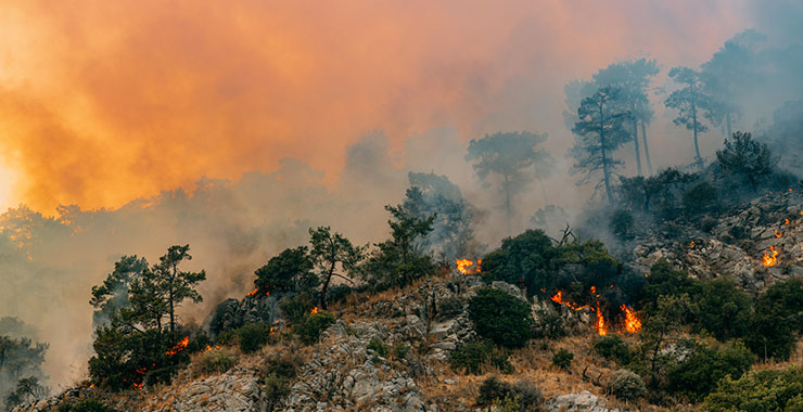 The role of the climate crisis in conflict