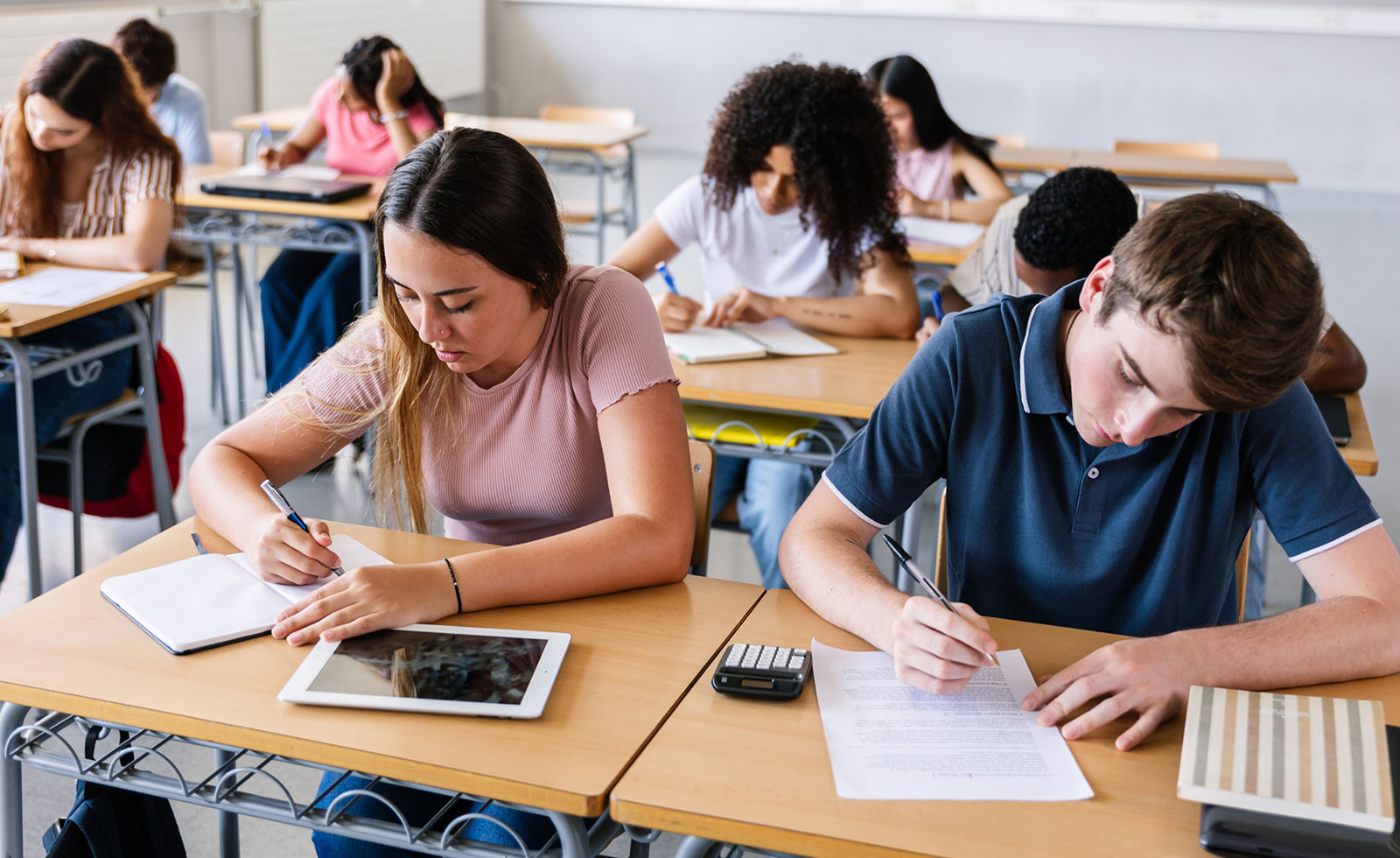 Assessment Teaching Principles for Creative, Talented and Gifted Students