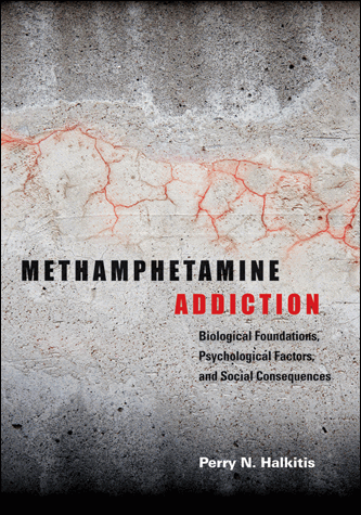 Methamphetamine Addiction: Biological Foundations, Psychological Factors, and Social Consequences