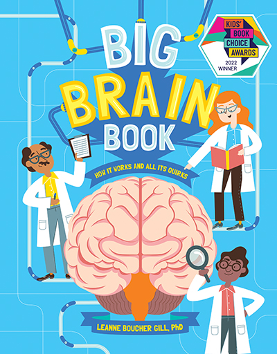Human Brain Images For Kids